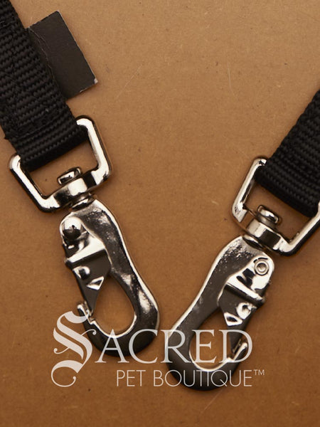 Coupler leash for walking two dogs – Sacred Pet Boutique