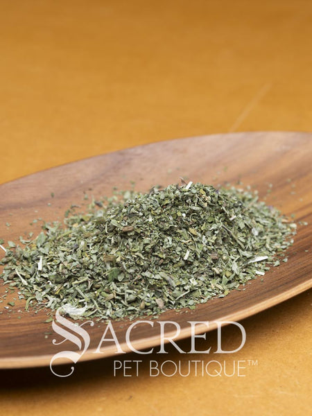 Dried Catnip for cats fun – Sacred Pet Boutique