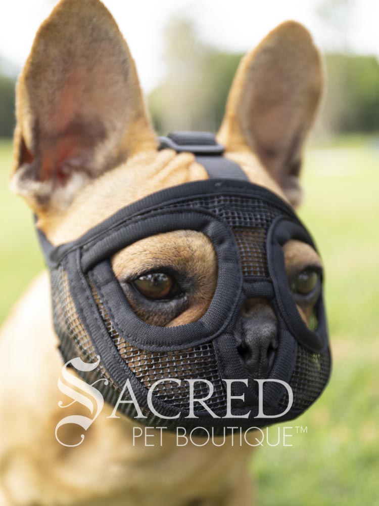 Short Snout Dog Muzzle for brachycephalic dogs – Sacred Pet Boutique