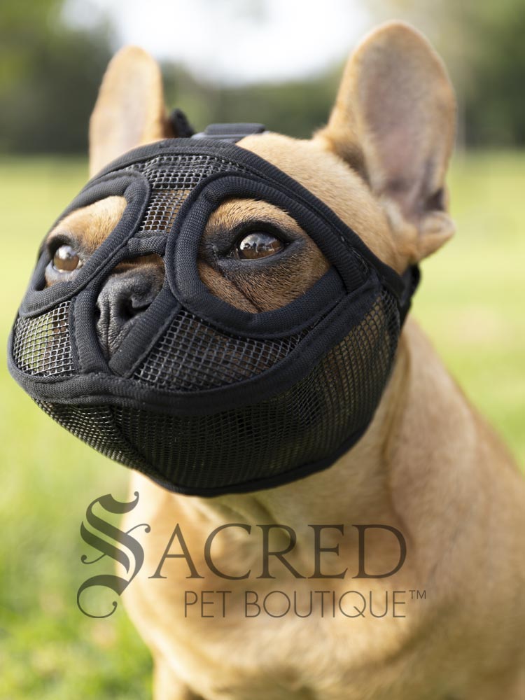 Short Snout Dog Muzzle for brachycephalic dogs – Sacred Pet Boutique