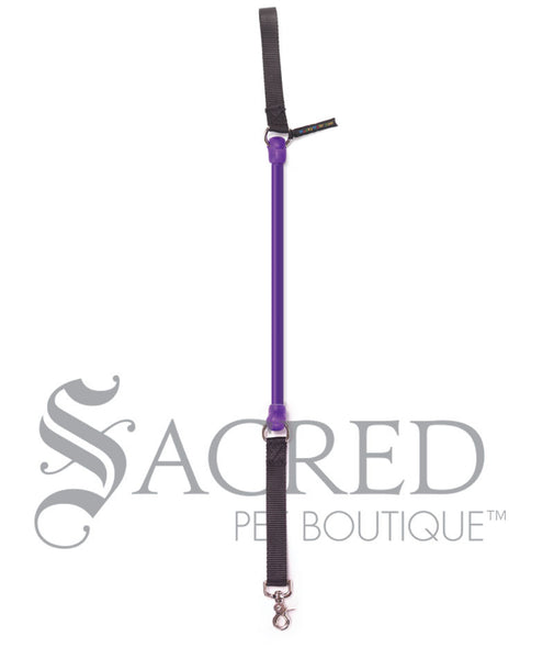Wacky Walk'r Urban shock absorbing dog leashes – Sacred Pet Boutique